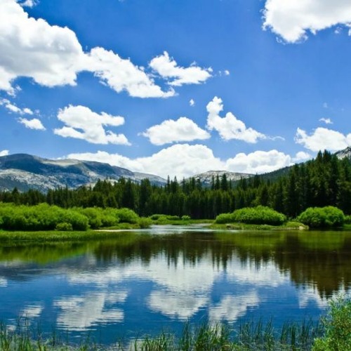 Stream Automotive Retail | Listen to mosley, mosmoove background apps ...