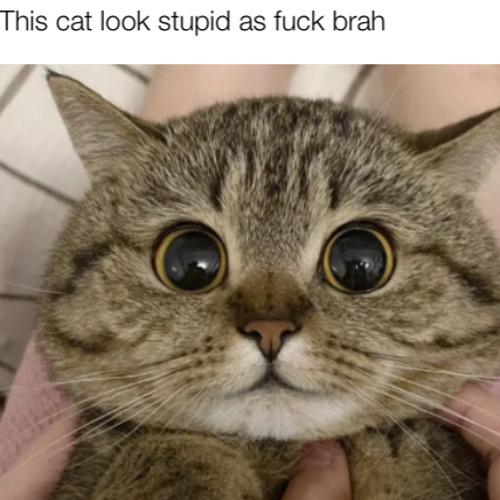 How Does Howtobasic Look