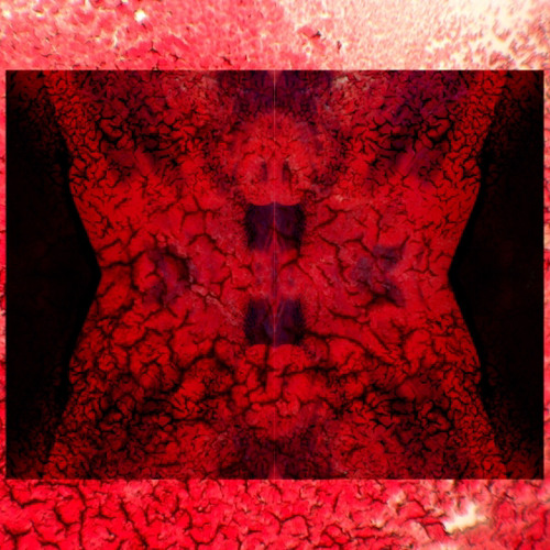 Stream mycorrhiza network by Elsa Tate | Listen online for free on ...