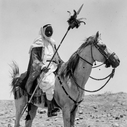 Stream Arab Bandit by armanibaby | Listen online for free on SoundCloud