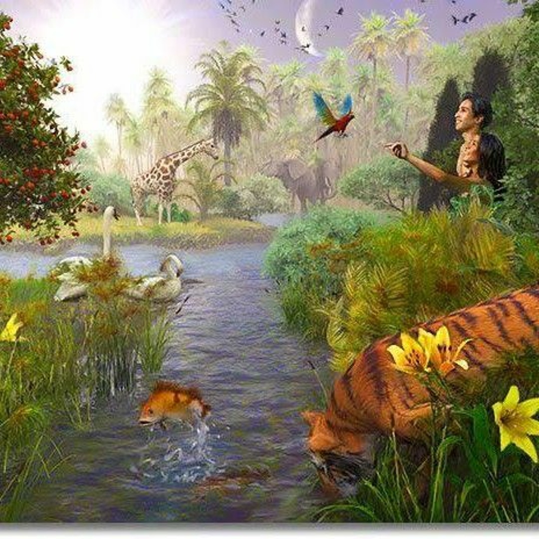 Stream God created Adam and Eve - Gen 1-2 from S4prayer3 | Listen ...