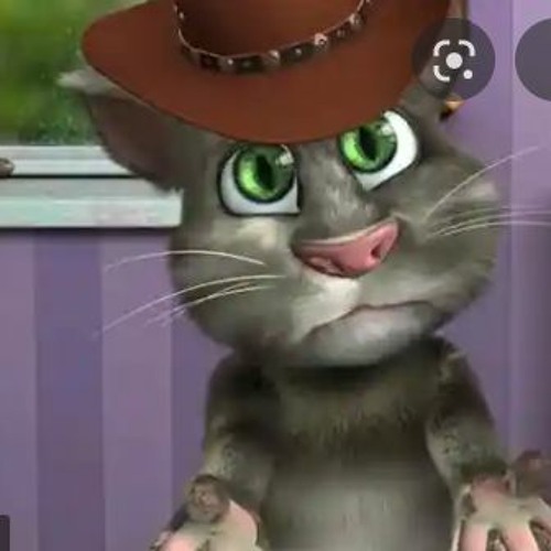 Stream talking tom can rap Boywhatthehellboy by lilbosam | Listen ...