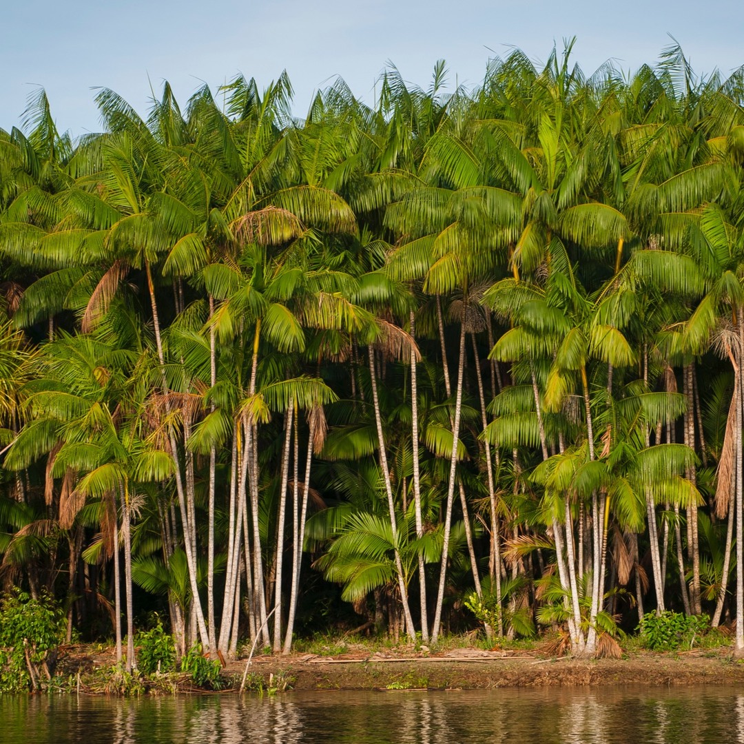 Stream A.G | Listen to Solo playlist online for free on SoundCloud