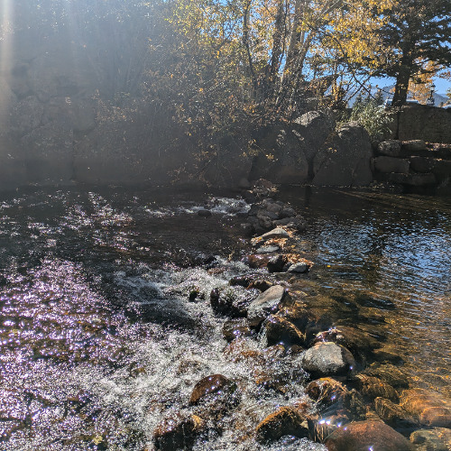 Stream The Forest (Demo) by Whispercore | Listen online for free on ...