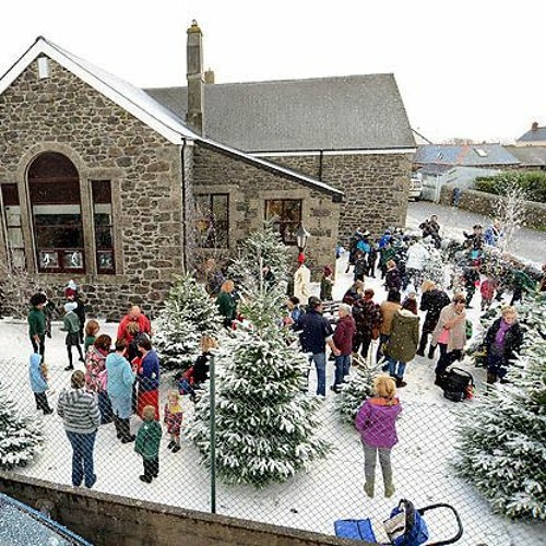 Stream While Shepherds bass - adapted Lyngham 2020 by Land and Sea ...