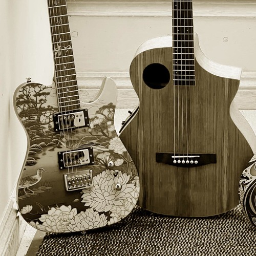 Stream GATOR ROCK by David Taylor Hughes | Listen online for free on ...