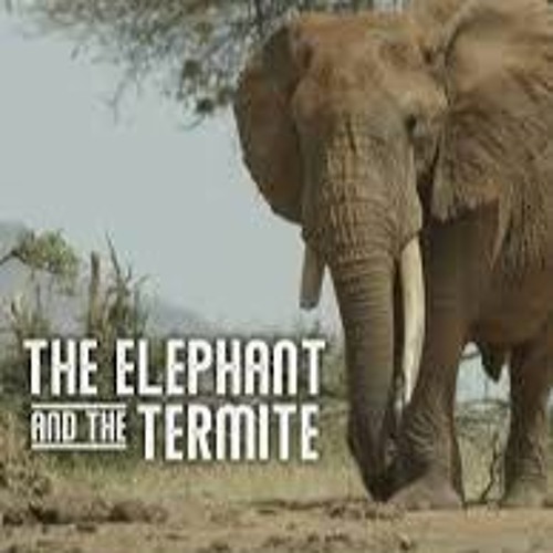 Stream Guy Michelmore - Composer | Listen to The Elephant and the ...