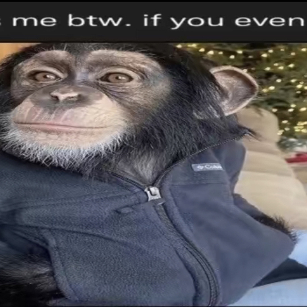 Stream Sins Let Me In-Kanii (DarillisBeats Edit) Slowed Best Version by ...