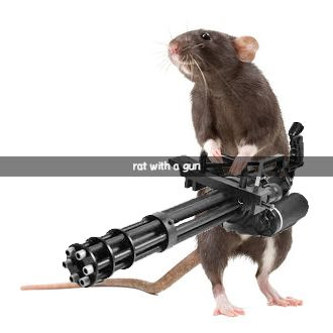 Stream Rat With A Gun by MiniMogus | Listen online for free on SoundCloud