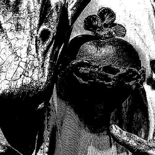 Stream OkListenTiller ☆♪ | Listen to A Tiller Collection [vol. 3 ...