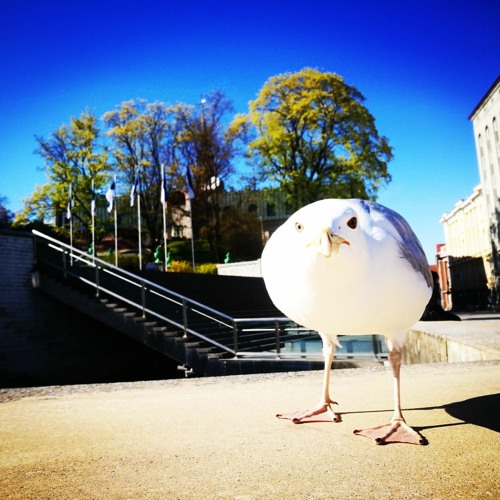 Stream Garage sample Vol2 by Din Viesel | Listen online for free on ...