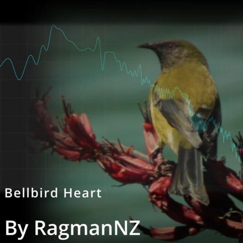 Stream Bellbird Heart by RagmanNZ | Listen online for free on SoundCloud