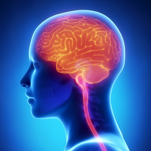 Stream Increase Brain Power, Complete Restoration, Healing Body, Mind ...