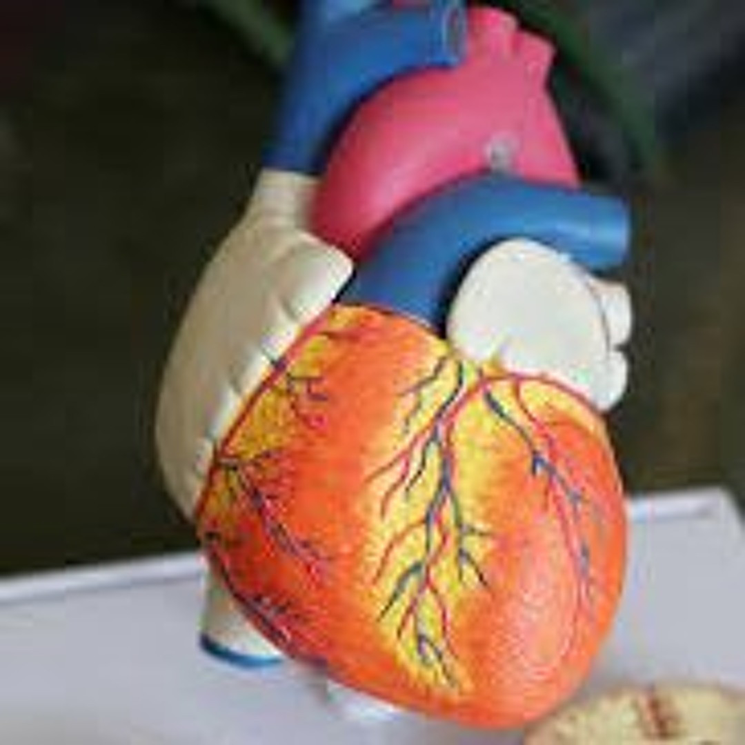 Stream How Atherectomy Models Improve Precision And Patient Outcomes ...