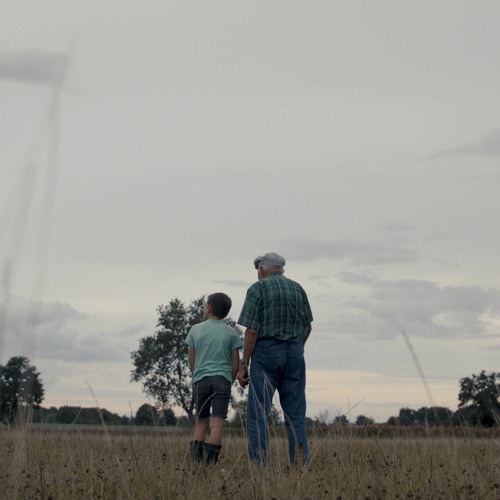 Stream Benoit Capelle | Listen to Où Sont Les Moutons playlist online ...