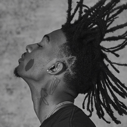 Stream diss lu gayu de judge muie caine prost by vlonelord | Listen ...