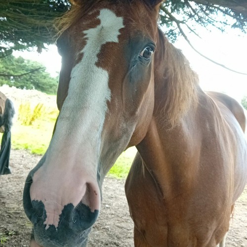 Stream Jack rogan | Listen to Jacks playlist playlist online for free ...