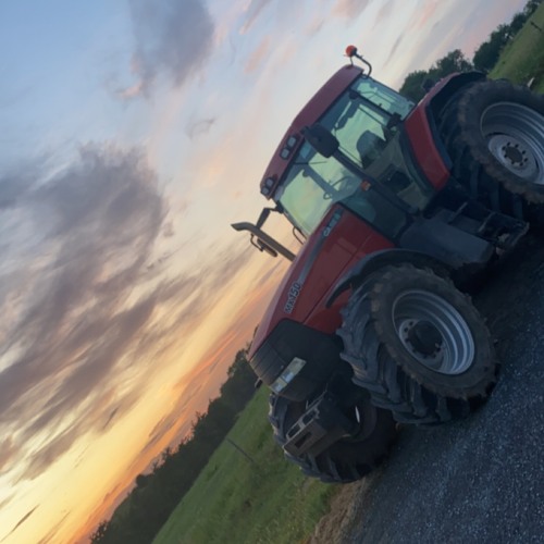 Stream Cathal Lee | Listen to Tune box 🌱🤠 playlist online for free on ...