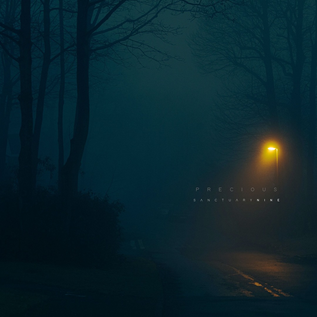 Stream Precious (Depeche Mode Cover) by SanctuaryNine | Listen online ...