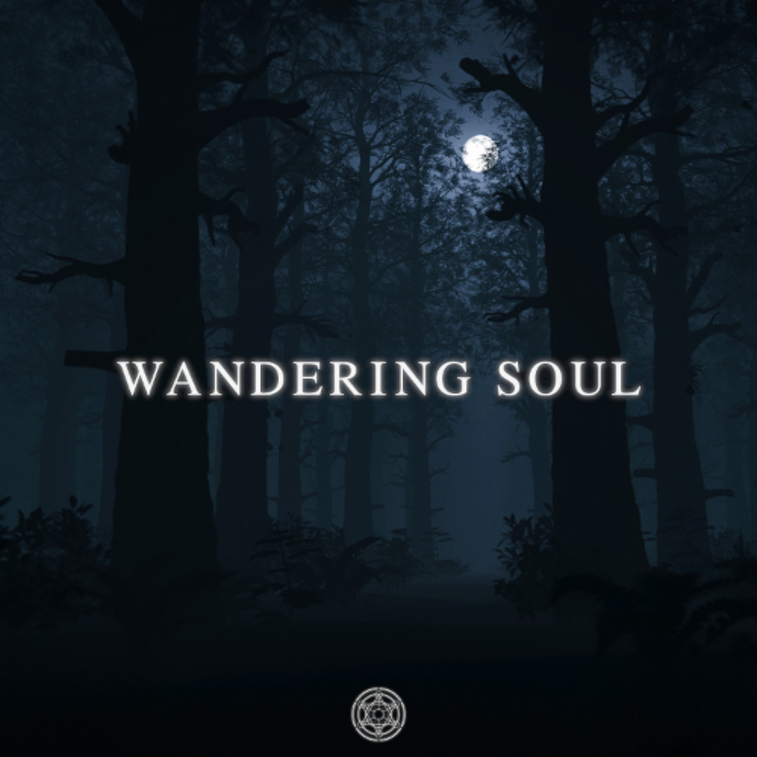 Stream Sentinel Complex - Wandering Soul by Sentinel Complex | Listen ...