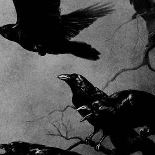 Stream podval capella - tundra by podval capella | Listen online for ...