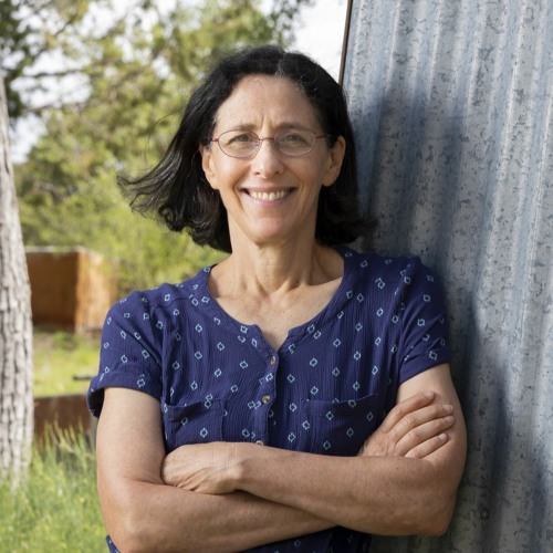 Stream episode "Artificial Intelligence: A Guide for Thinking Humans ...