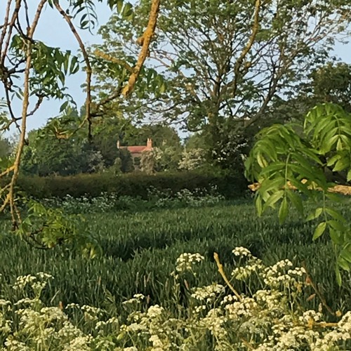 Stream Birds And Bees... by Caroline Cakebread | Listen online for free ...