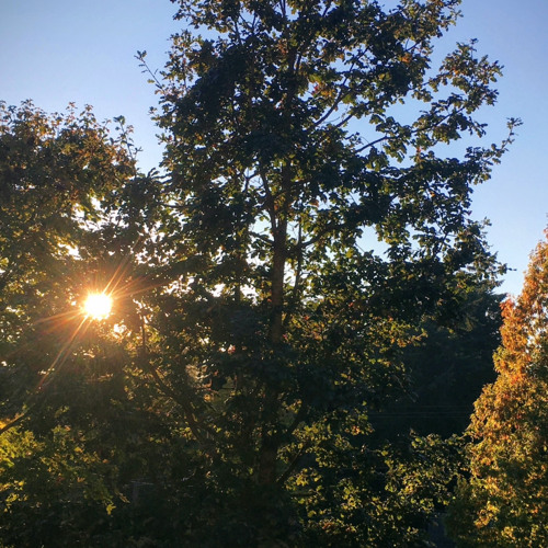 Stream Lo - KO by medds (@scriptmedds) | Listen online for free on ...