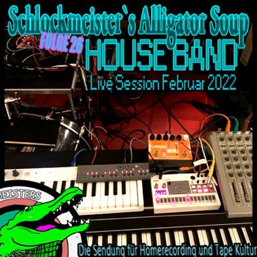Stream Schlockmeister Alligator Soup - Folge 26 - HouseBandLive by ...