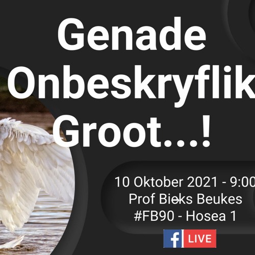Stream Genade Onbeskryflik Groot by NHK Witfontein | Listen online for ...