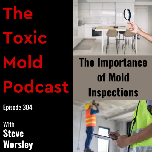 Stream episode EP 304: The Importance of Mold Inspections by The Toxic ...