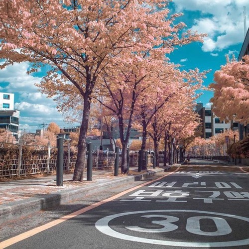 Stream Youchi | Listen to love diary vol. 1 playlist online for free on ...