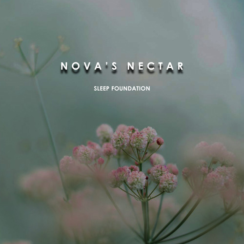 Stream Nova’s Nectar by Sleep Foundation | Listen online for free on ...