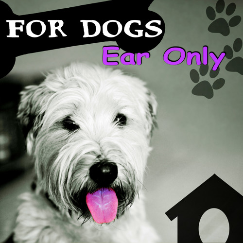 Stream Pet Care Club | Listen to For Dogs Ear Only – Calm Down Your ...