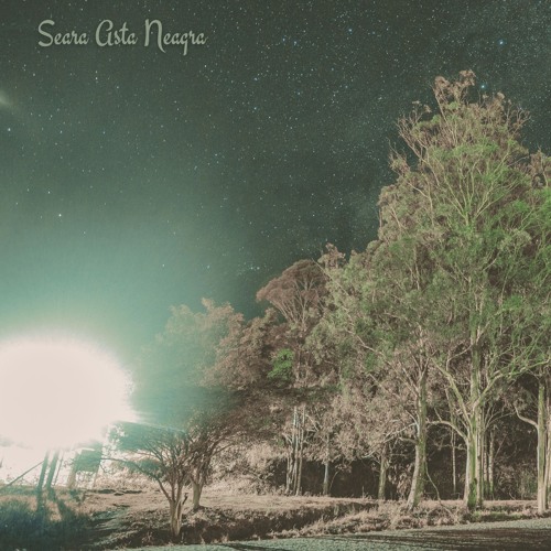 Stream Giani Tretoc | Listen to Seara Asta Neagra playlist online for ...