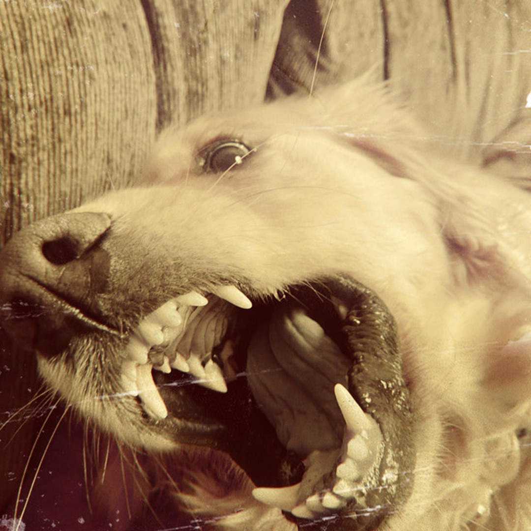 Stream waiting room x fix you by iaro22 | Listen online for free on ...