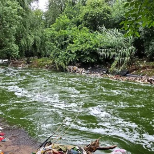 Stream Tshwane's Hennops River Turns Toxic Green: Activists Call for ...