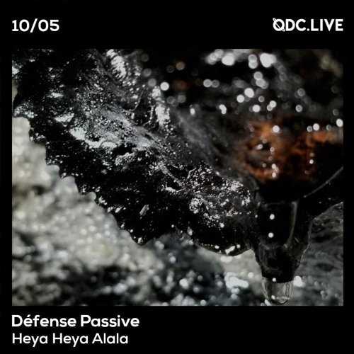Stream Défense Passive avec Heya Heya Alala (Mai 2022) by z•est radio ... Stream Défense Passive avec Heya Heya Alala (Mai 2022) by z•est radio ...