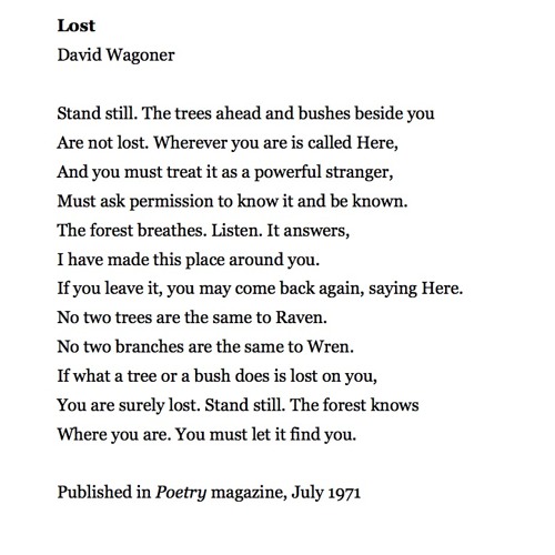 Stream 486 Lost by David Wagoner by Samuel West #PandemicPoems | Listen ...