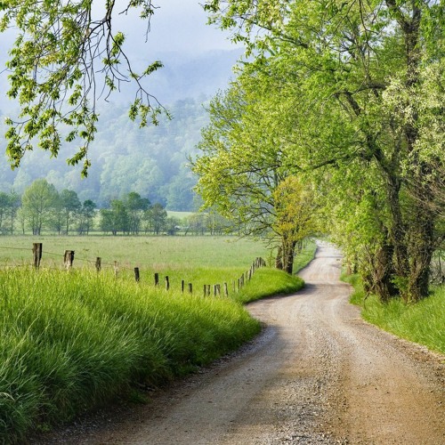 Stream Florida Georgia Line - Good Good Cover by Jackrabbit | Listen ...