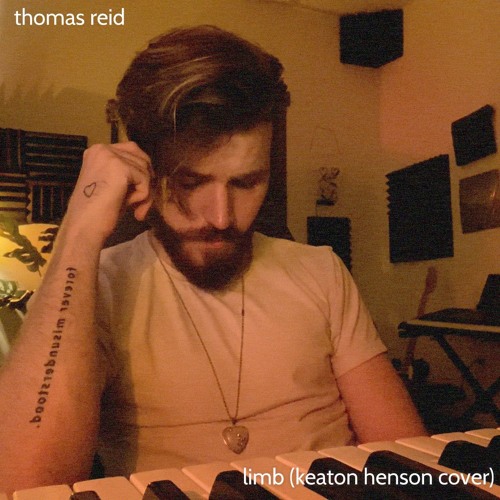 Stream Limb (Keaton Henson Cover) by Thomas Reid | Listen online for ...