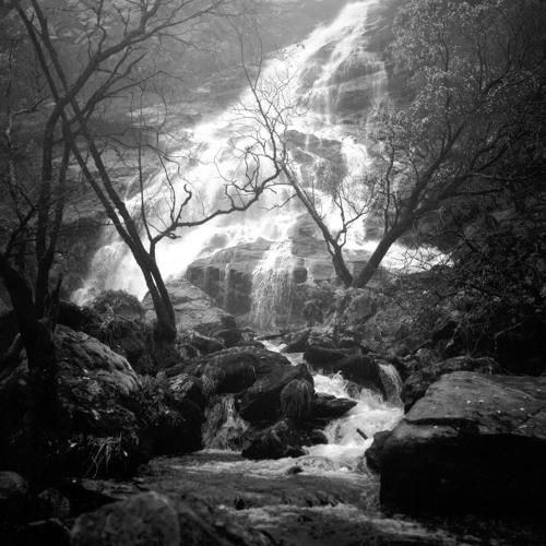 Stream London by Alexander Carson | Listen online for free on SoundCloud