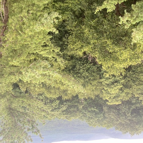 Stream $TEEZY (prod zayof2mrwXbreeze) by breeze | Listen online for ... Stream $TEEZY (prod zayof2mrwXbreeze) by breeze | Listen online for ...
