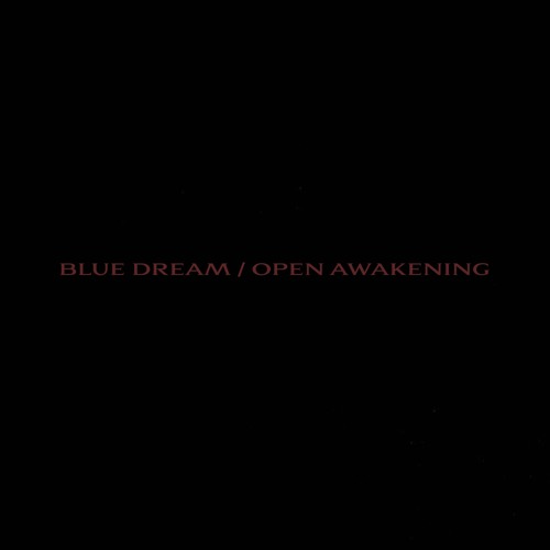 Stream noraa | Listen to Blue Dream / Open Awakening playlist online for free on SoundCloud