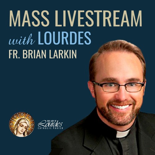 Stream Solemnity of The Holy Trinity | Domestication of the Exotic | 5. ...