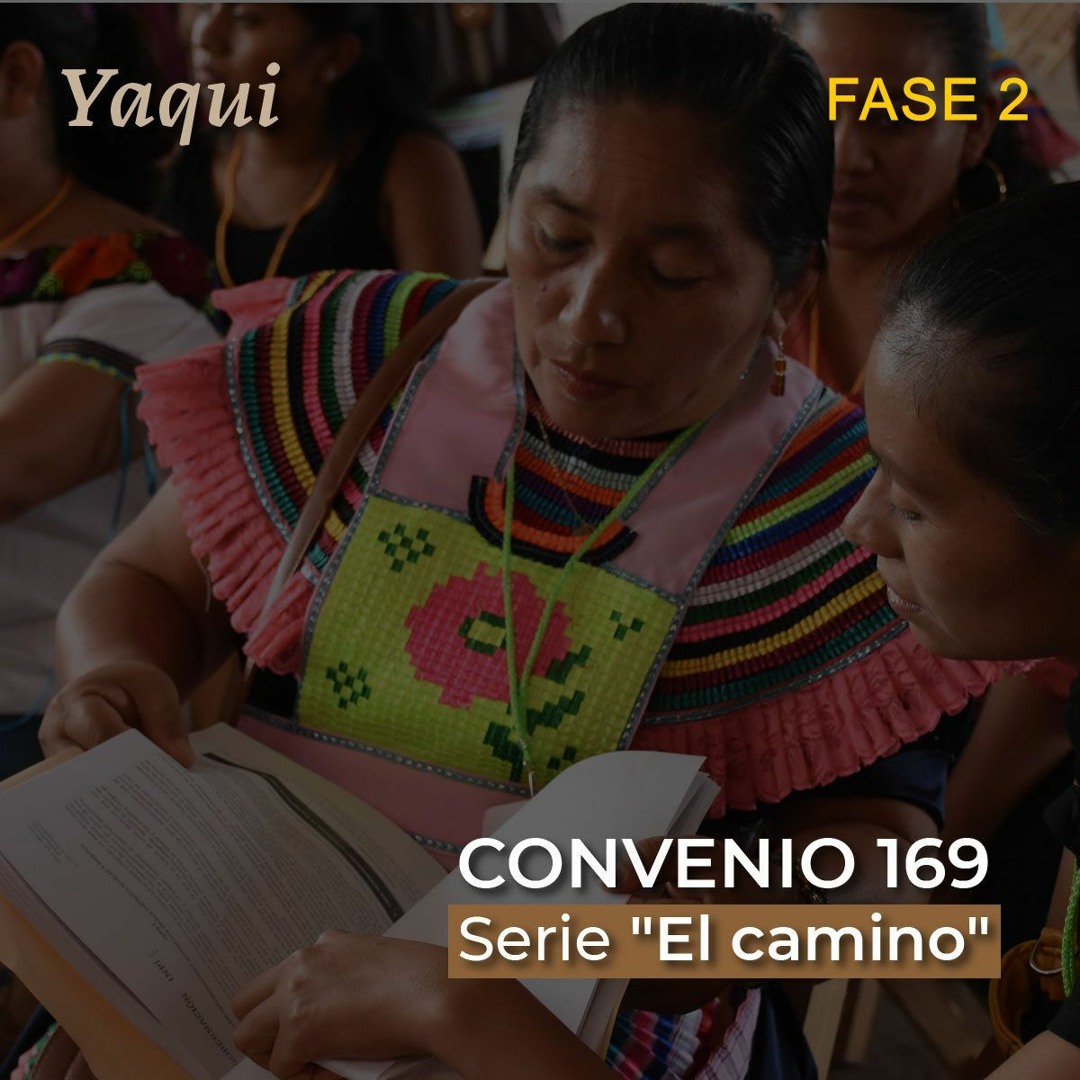 Stream episode Campaña Convenio 169 - A17 Bullet - Pertinencia cultural ...