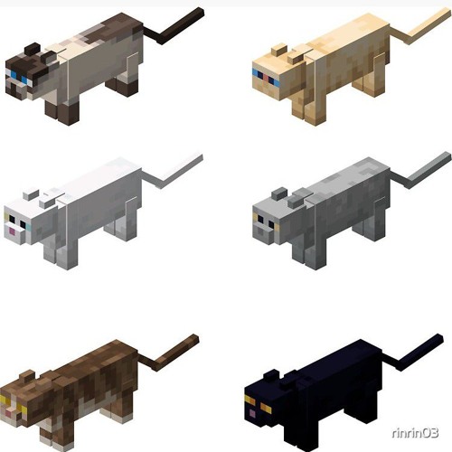 Stream minecraft cats by real Maxwell cat | Listen online for free on ...
