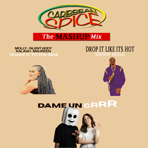 Stream Caribbean Spice Drop It Like It's Hot Mashup by Caribbean Spice ...