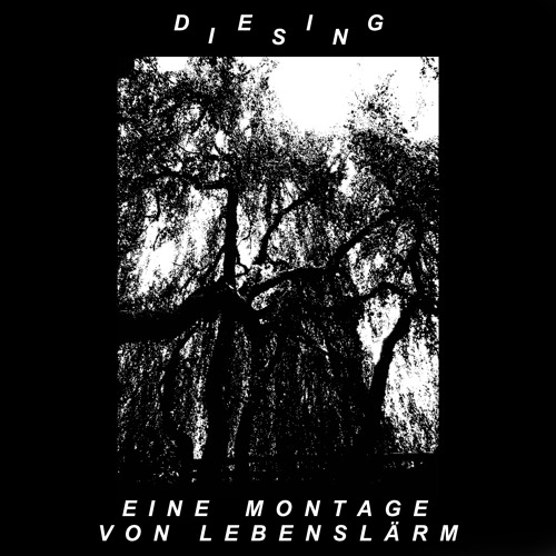 Stream Einführung by DSNG acc 2 | Listen online for free on SoundCloud