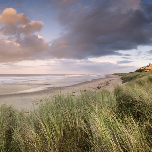 Stream Fossil Hunters Theme by Dylan Allcock | Listen online for free ...